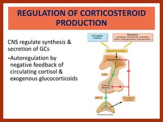 04-Pharmacology- Adrenocorticoids (1).pdf