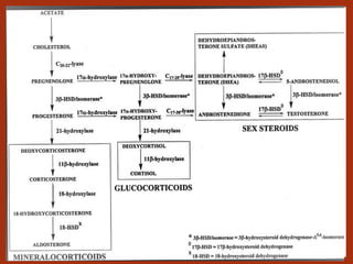04-Pharmacology- Adrenocorticoids (1).pdf