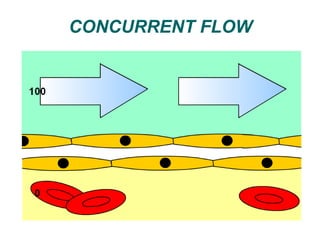 04 respiration in animals | PPT