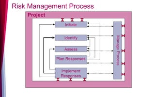 Risk Management as an enabler for project success | PDF