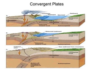 04 Sec 1 Plate Tectonics | PPT | Geography | Science