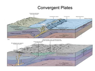 04 Sec 1 Plate Tectonics | PPT | Geography | Science