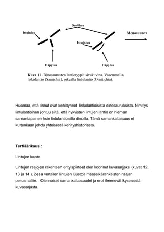 04.selkäjänt evoluutiohist | PDF