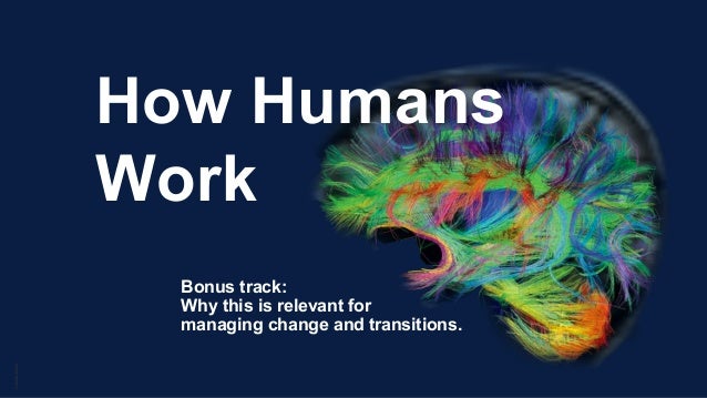 The Key to Great Teams: Understanding the Human Operating System