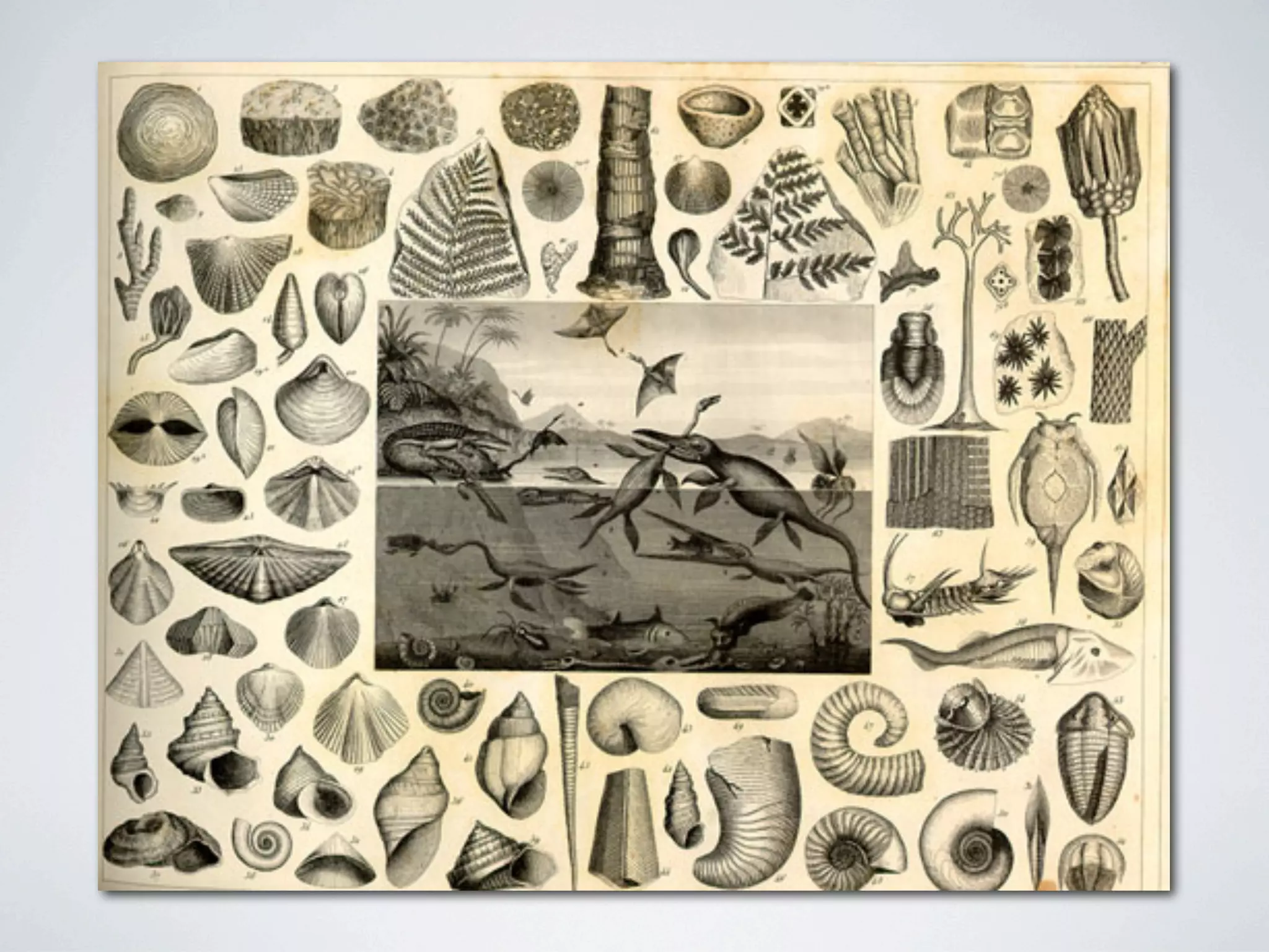 The Design Argument | PPT