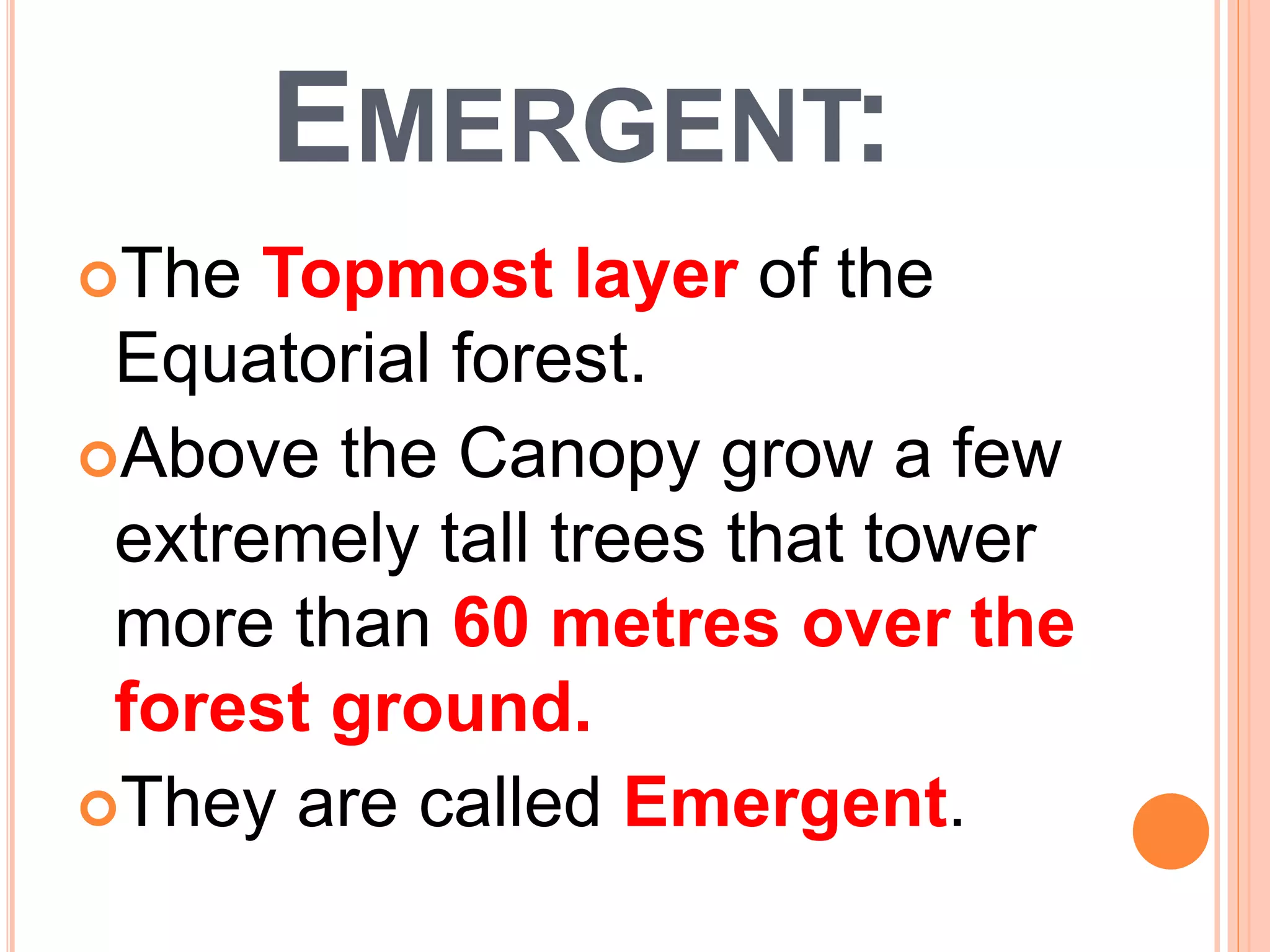 The hot and wet equatorial region | PPTX