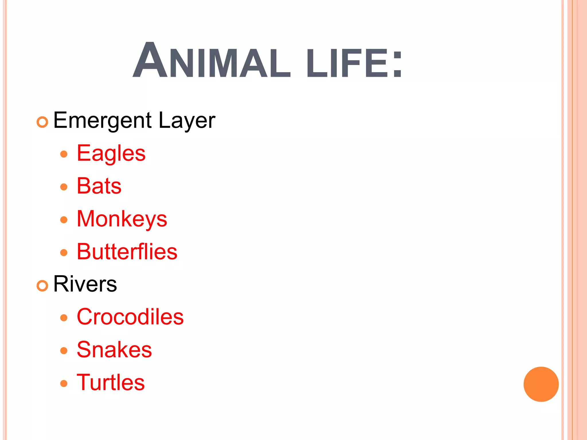 The hot and wet equatorial region | PPTX | Reptiles | Pets