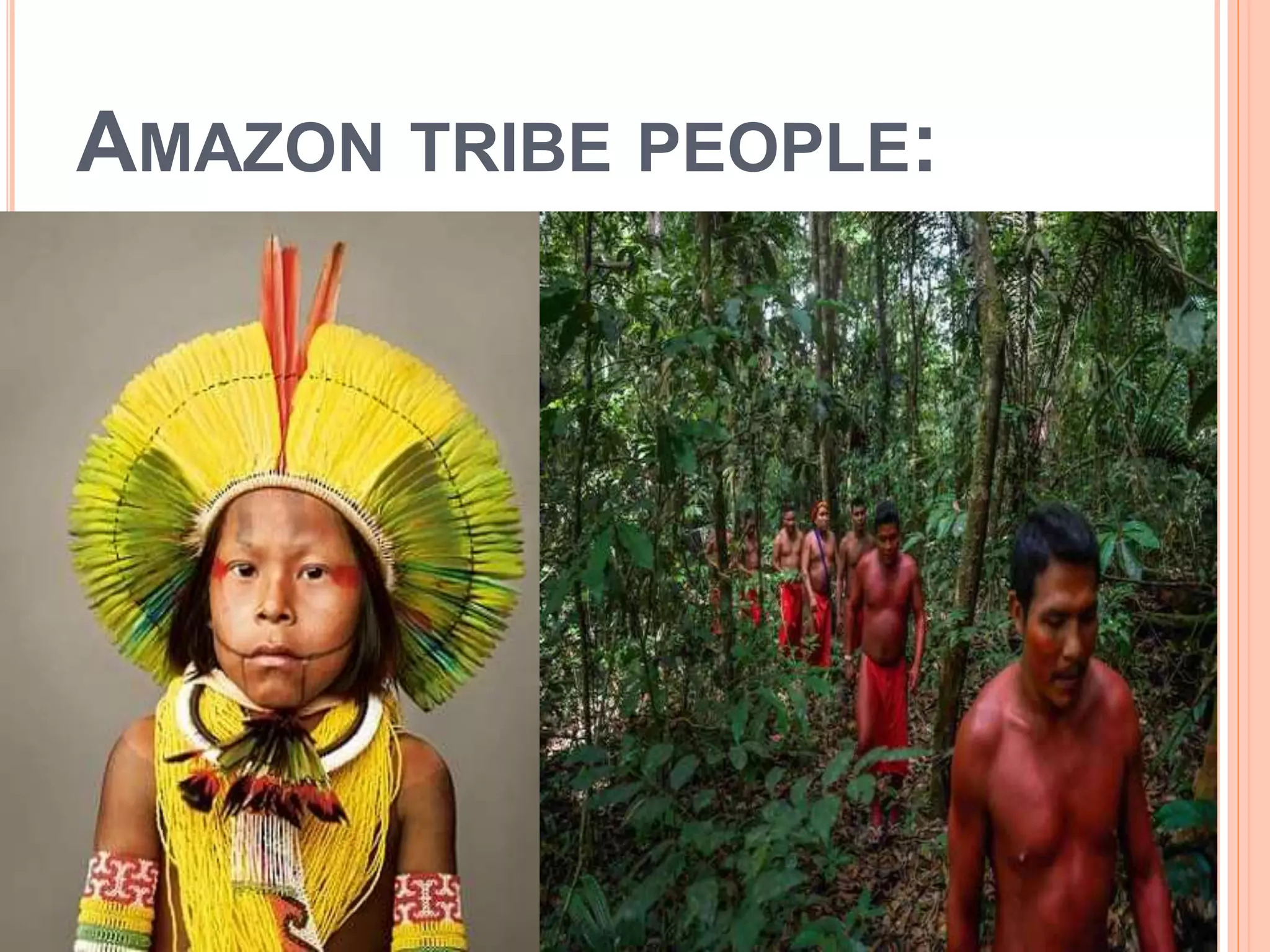 The hot and wet equatorial region | PPTX