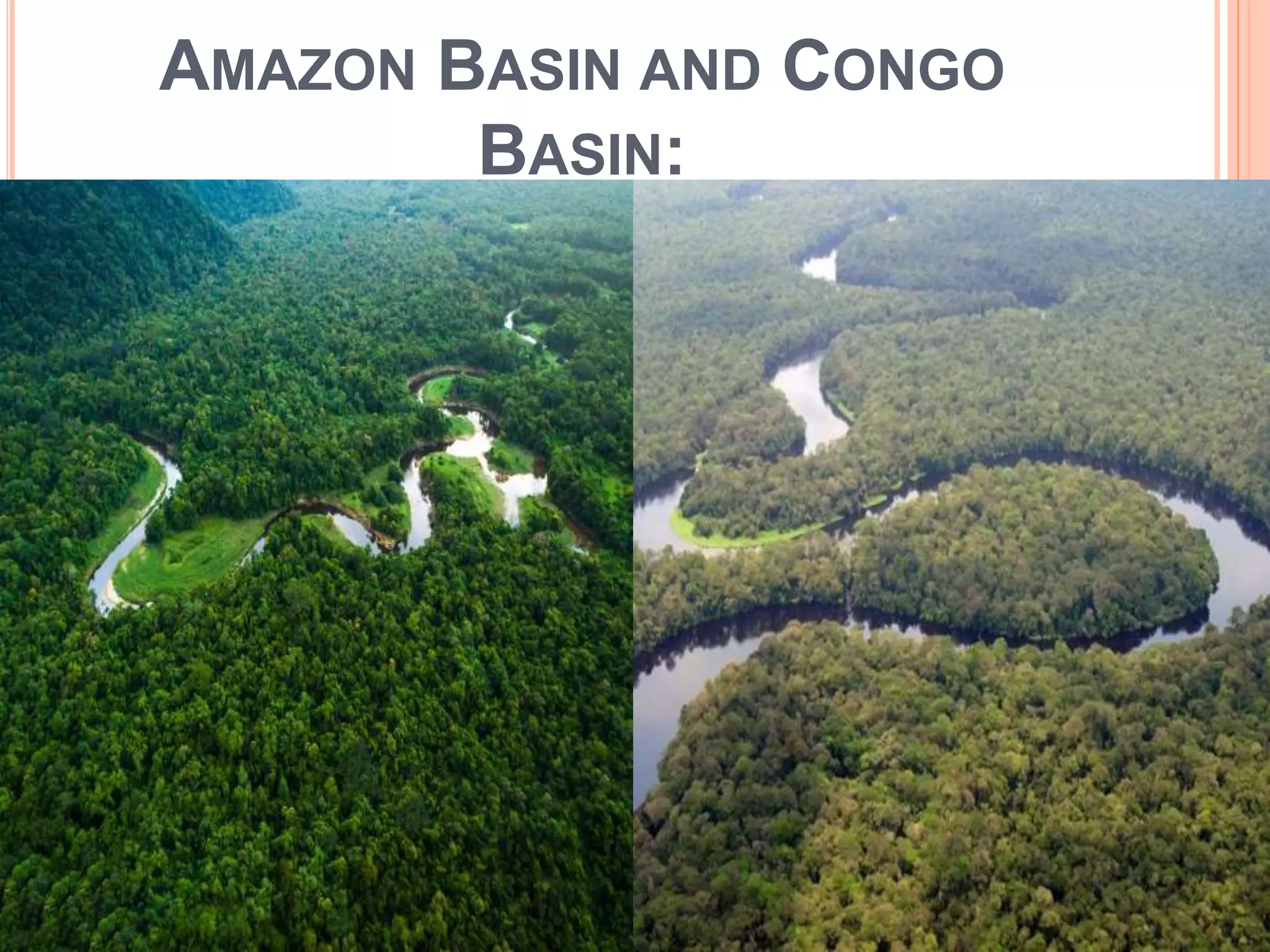 The hot and wet equatorial region | PPTX