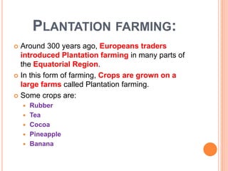 The hot and wet equatorial region | PPTX