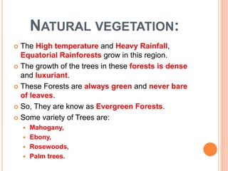 The hot and wet equatorial region | PPTX
