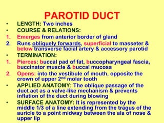 04-The parotid region.ppt