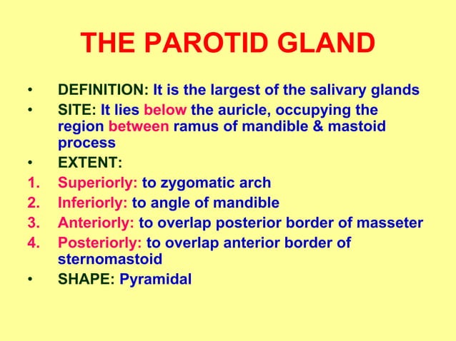 04 The Parotid Regionppt Free Download