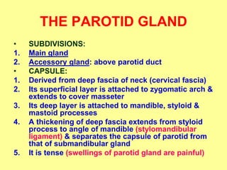 04-The parotid region.ppt