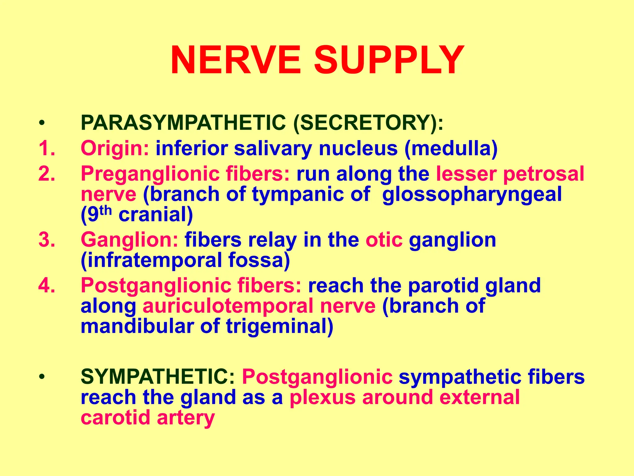 The Parotid gland Anatomy and applied aspects | PPT