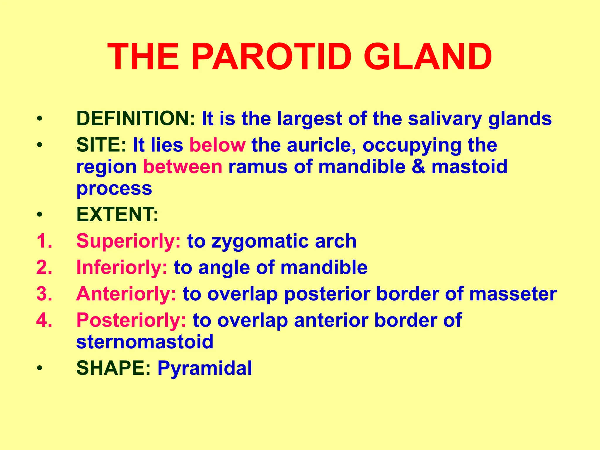 The Parotid gland Anatomy and applied aspects | PPT
