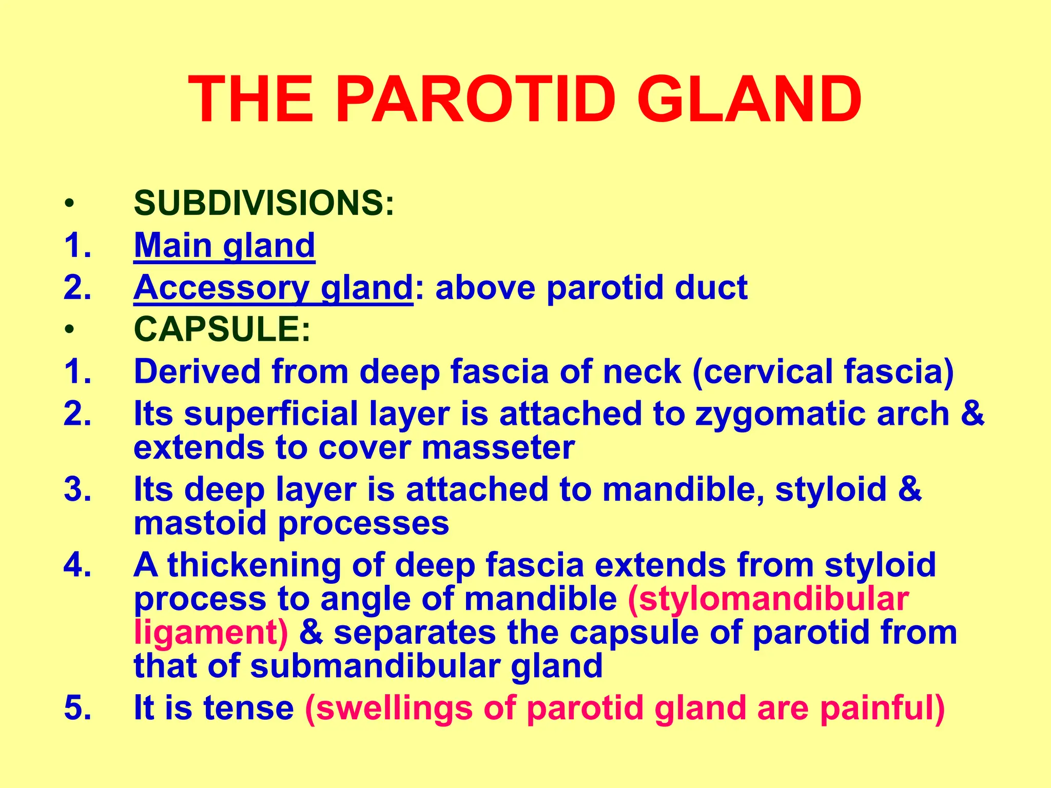 The Parotid Gland Anatomy And Applied Aspects Ppt