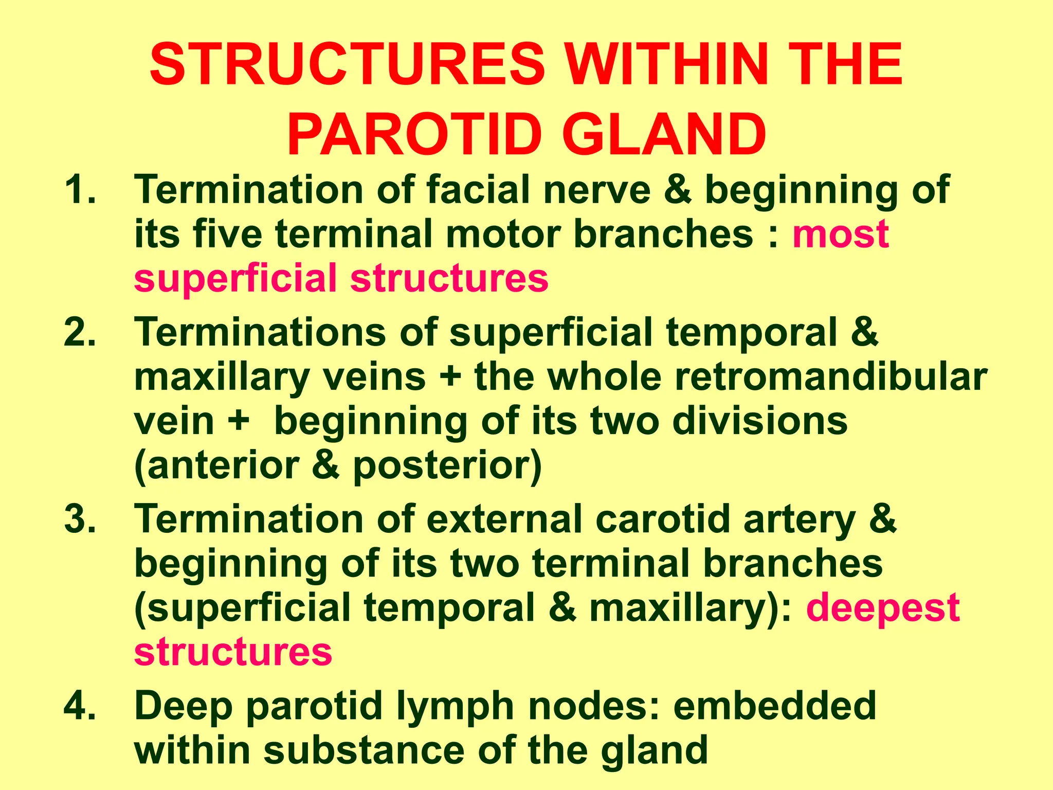 The Parotid gland Anatomy and applied aspects | PPT
