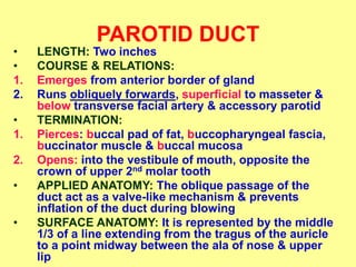 The Parotid gland Anatomy and applied aspects | PPT