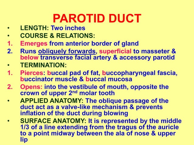 The Parotid gland Anatomy and applied aspects | PPT
