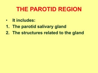 The Parotid gland Anatomy and applied aspects | PPT