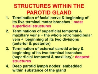 The Parotid gland Anatomy and applied aspects | PPT