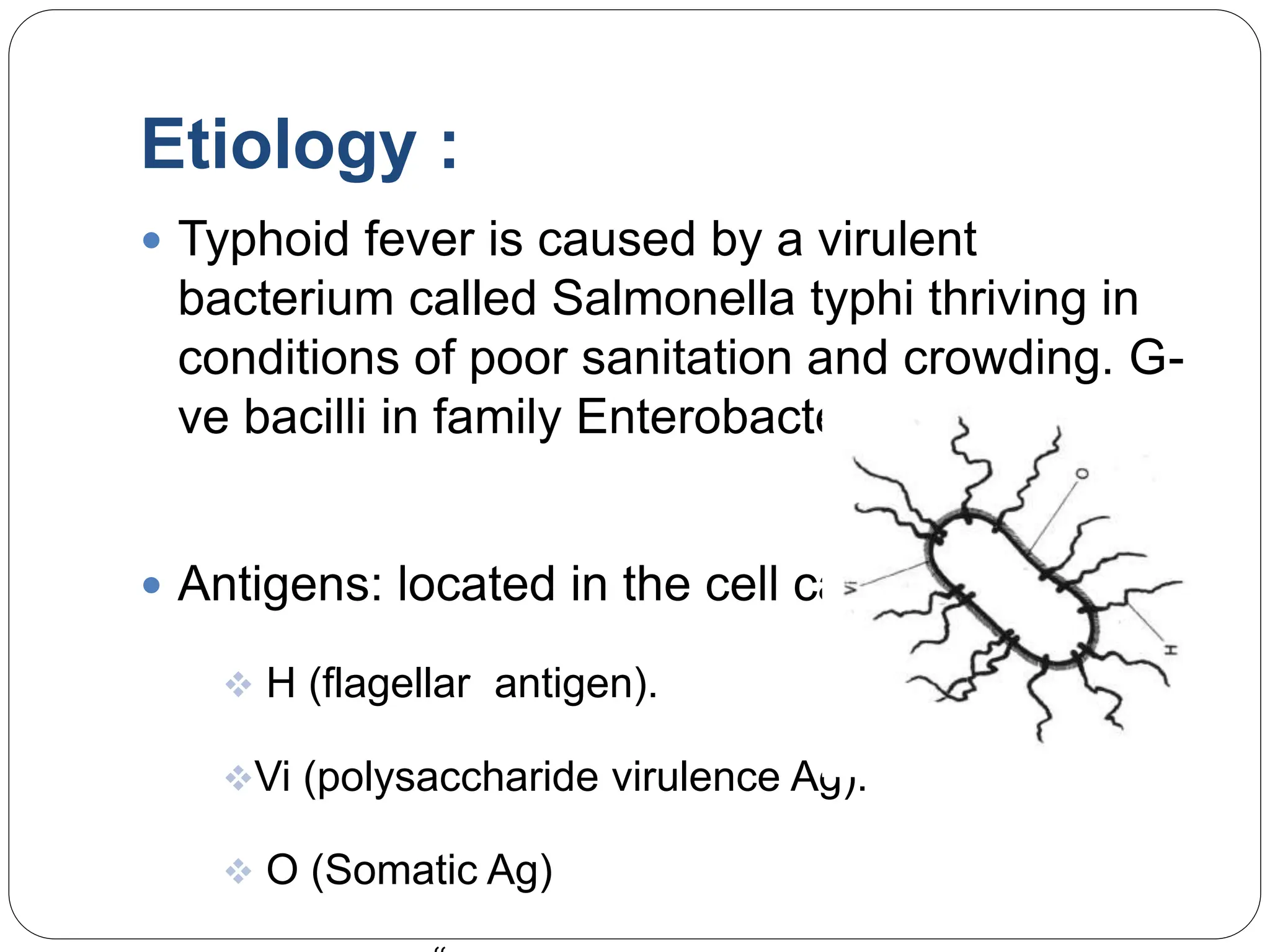 Typhoid_Fever.ppt