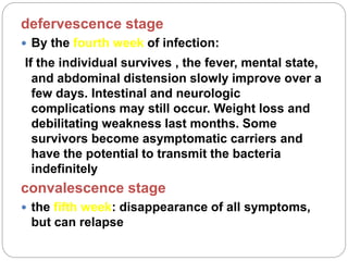 Typhoid_Fever.ppt