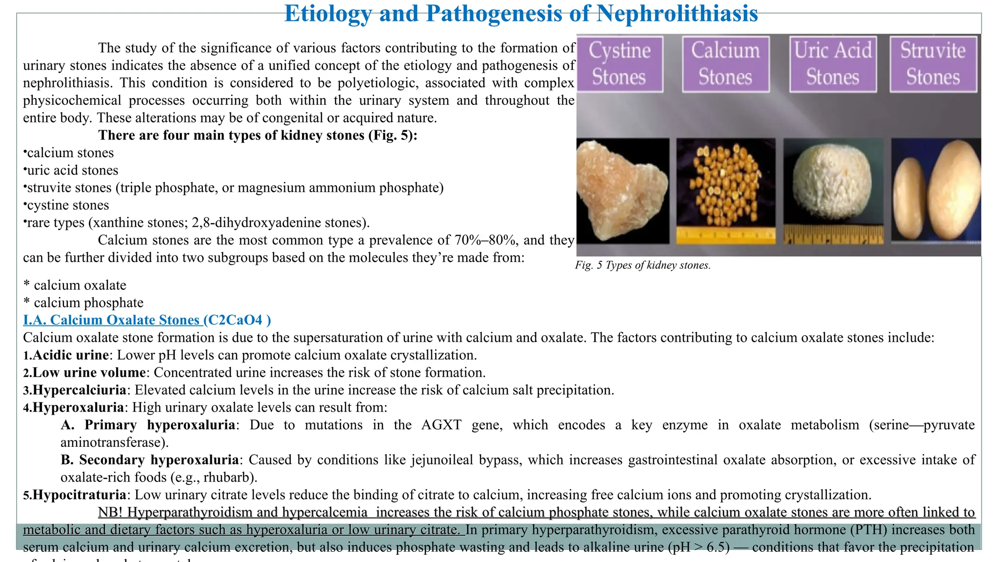 04-Urology lecture N 4 (1).pptgyjj7iiluḍ | PPT