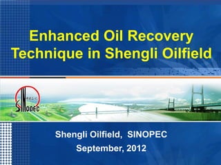 04 - Yong - Shengli Oil Field SINOPEC-EN.pdf