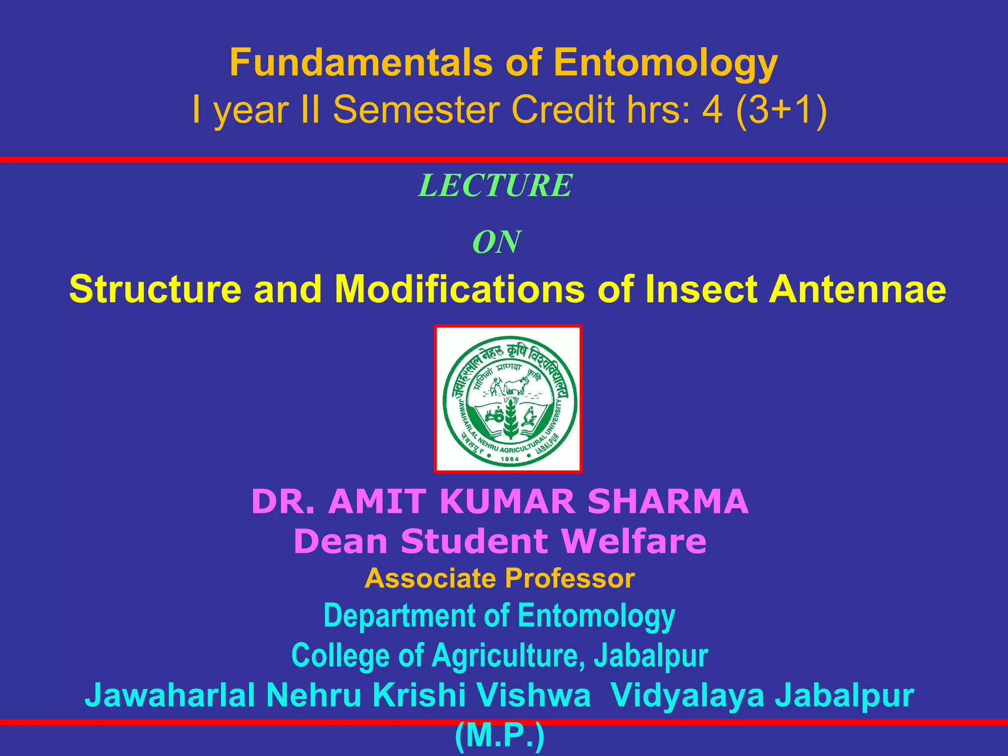 Structure and Modifications of antennae | PDF