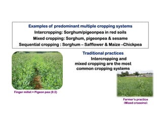 Double Cropping Example