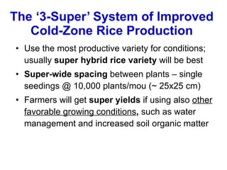 0404 The 3-S System of Rice Cultivation | PPT