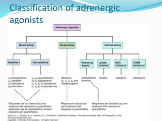 Adrenergic_agonist_antagonist | PPTX
