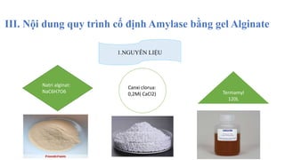 04_05_ cố định enzyme amylase trên alginate trong CNSX bia.pptx