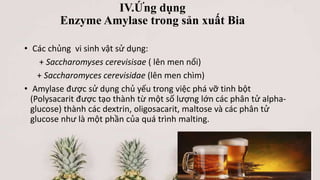 04_05_ cố định enzyme amylase trên alginate trong CNSX bia.pptx