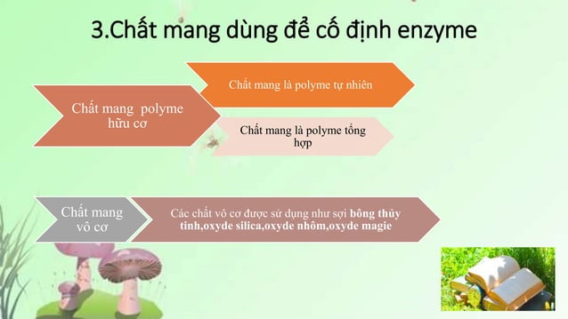 04_05_ cố định enzyme amylase trên alginate trong CNSX bia.pptx