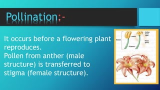 flower structure.pptx