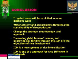 0408 Opportunities for Rice Self-Sufficiency in Indonesia with ...