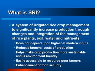 0411 Evaluation of SRI in Bangladesh | PPT