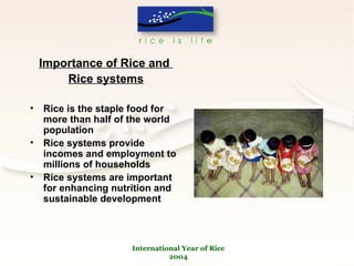 0413 Increasing the Productivity and Efficiency in Rice Production with ...
