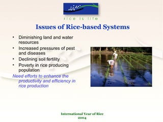 0413 Increasing the Productivity and Efficiency in Rice Production with ...
