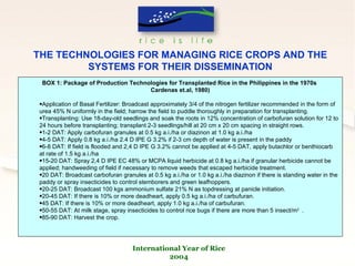 0413 Increasing the Productivity and Efficiency in Rice Production with ...