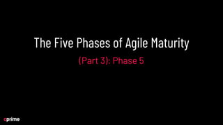 The Five Phases of Agile Maturity (Part 3): Phase 5 | PDF