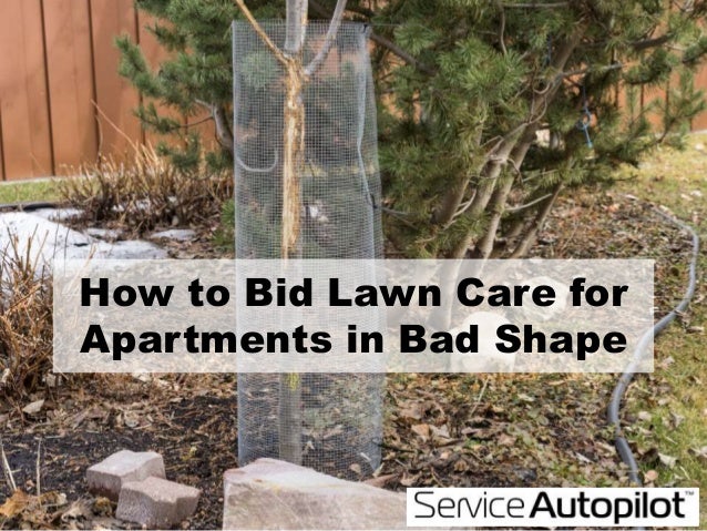 how-to-bid-lawn-care-for-apartments-in-bad-shape