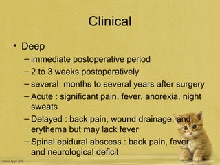 041 Postoperative infection of the spine | PPT