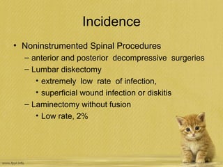 Lumbodorsal Fascia Cat
