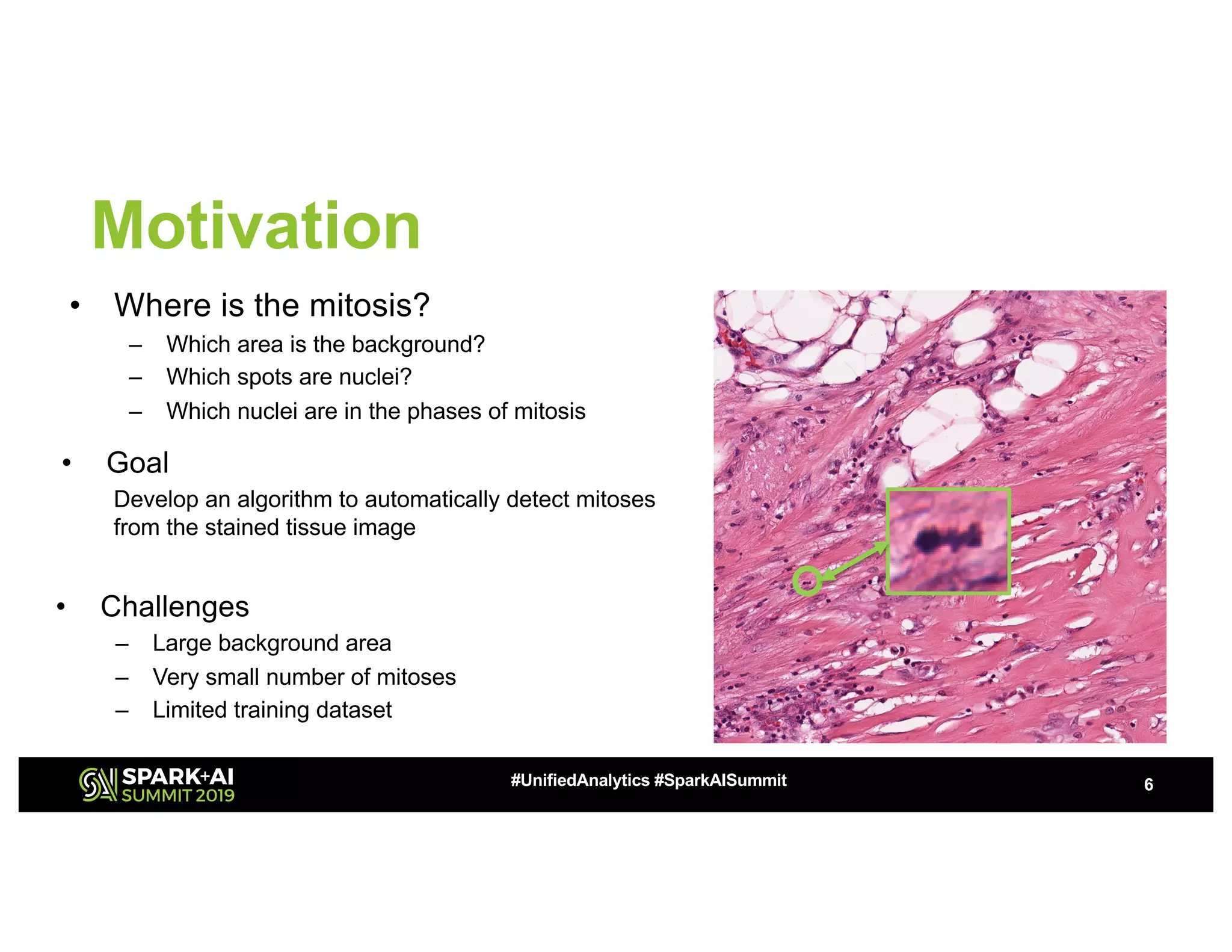 A Distributed Deep Learning Approach For The Mitosis Detection From Big Medical Images Pdf