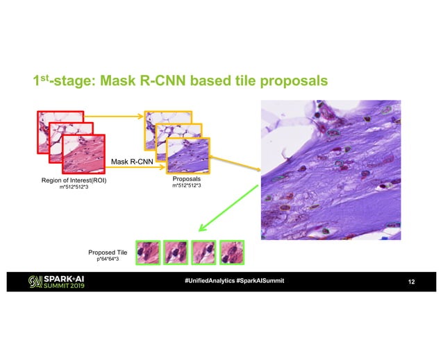 A Distributed Deep Learning Approach For The Mitosis Detection From Big Medical Images Pdf