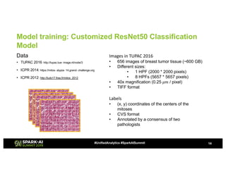 A Distributed Deep Learning Approach for the Mitosis Detection from Big Medical Images | PDF